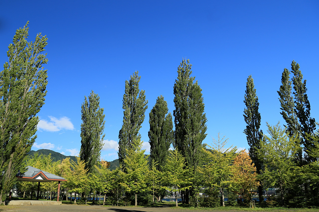 Oike park | Kawaguchiko.net