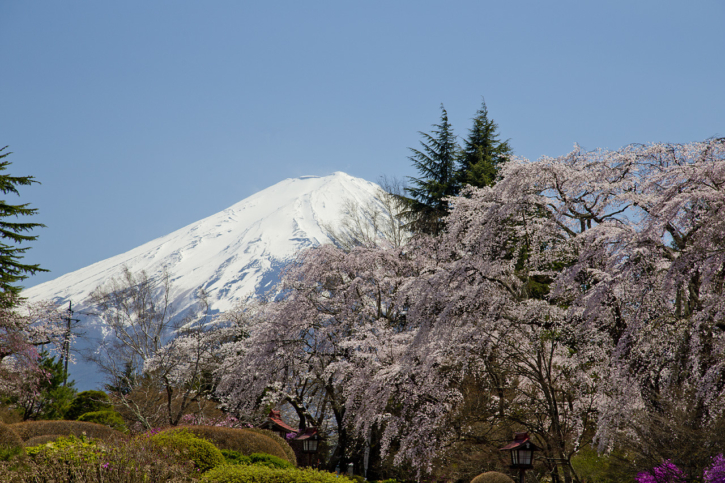 Shikishima-no-matsu [Bus Stop] | Kawaguchiko.net